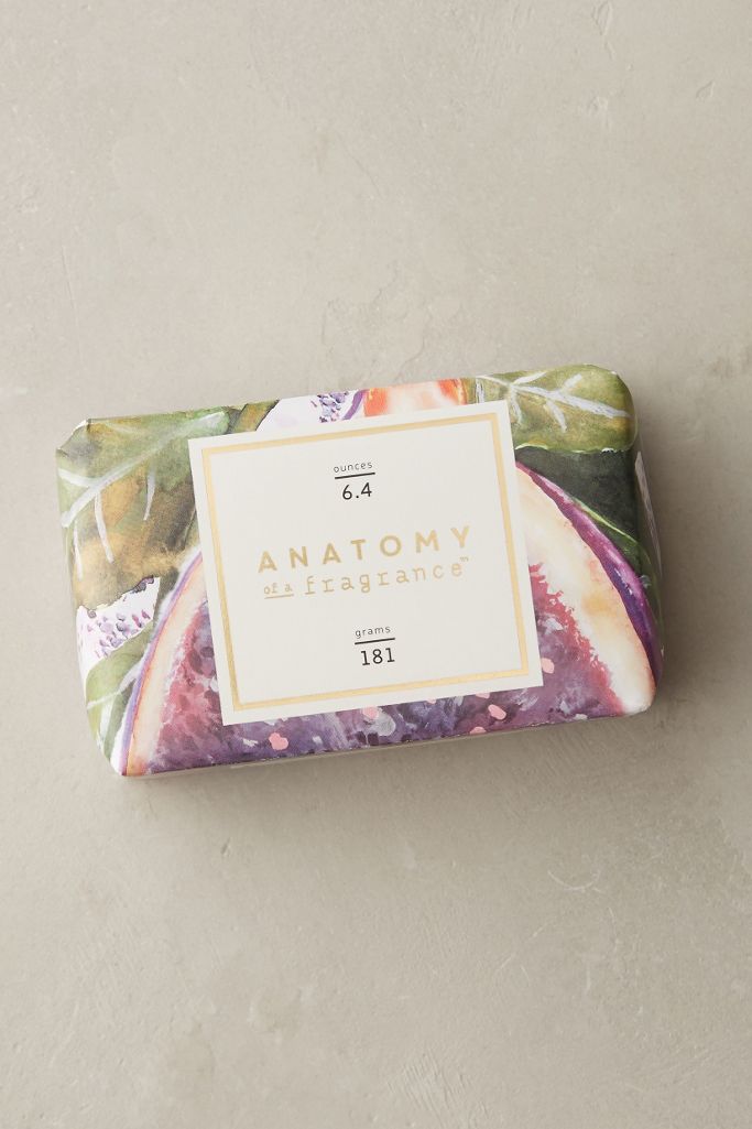 Anatomy Of A Fragrance Bar Soap | Anthropologie