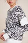Leopard Sweatshirt | Anthropologie