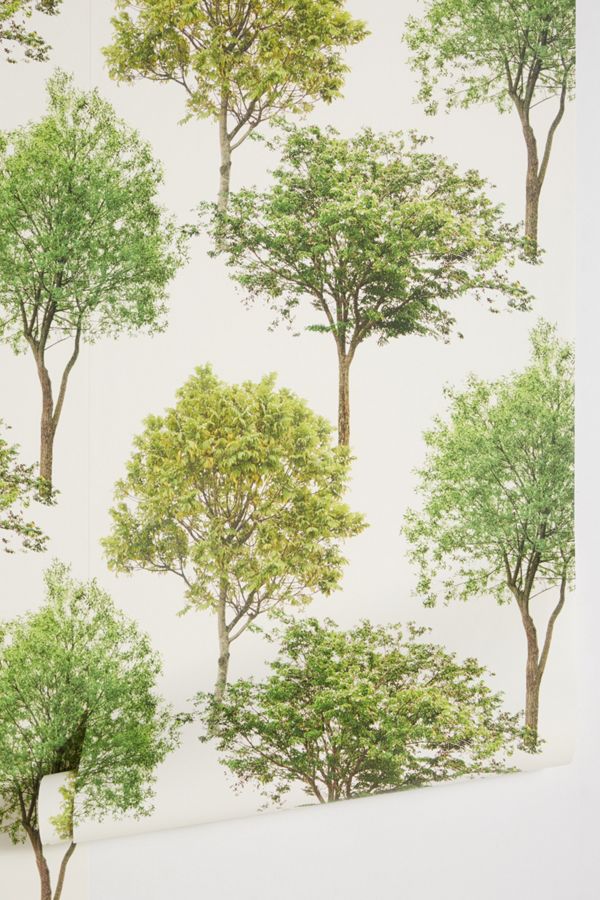Tree Tops Wallpaper | Anthropologie