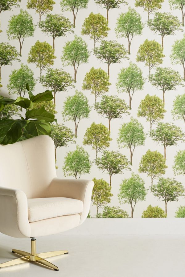 Tree Tops Wallpaper | Anthropologie