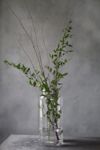 Glass Column Vase | Anthropologie