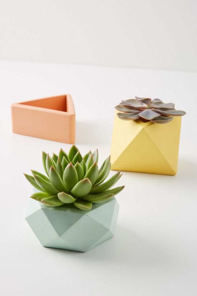 Colorful Mini Pot | Anthropologie