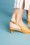 Sam Edelman Ludlow Kitten Heels | Anthropologie