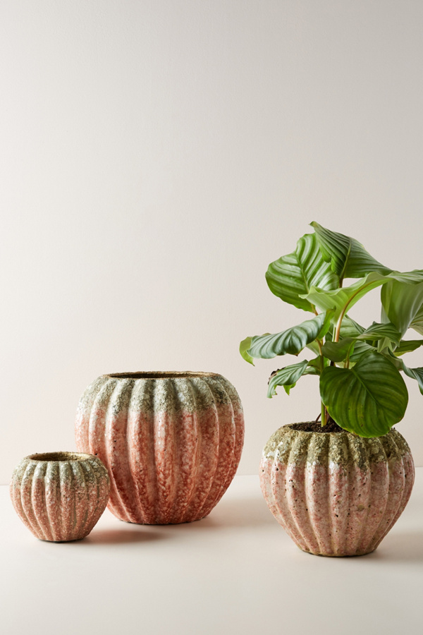 Ariel Pot | Anthropologie