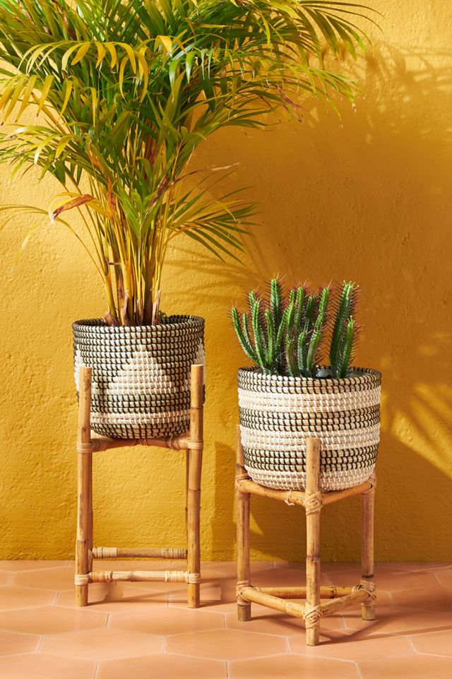 Woven Jahala Planter | Anthropologie