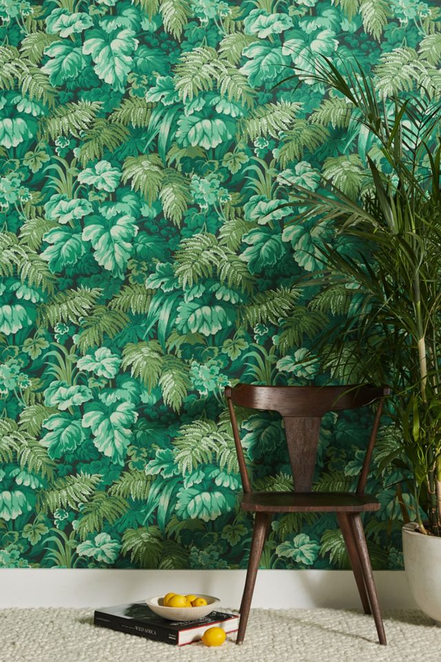 Royal Fernery Wallpaper | Anthropologie
