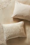 Ivy Applique Shams, Set of 2 | Anthropologie