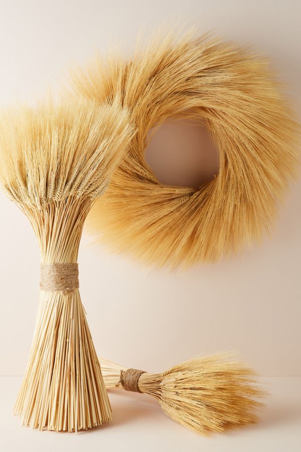 Dried Wheat Bundle | Anthropologie