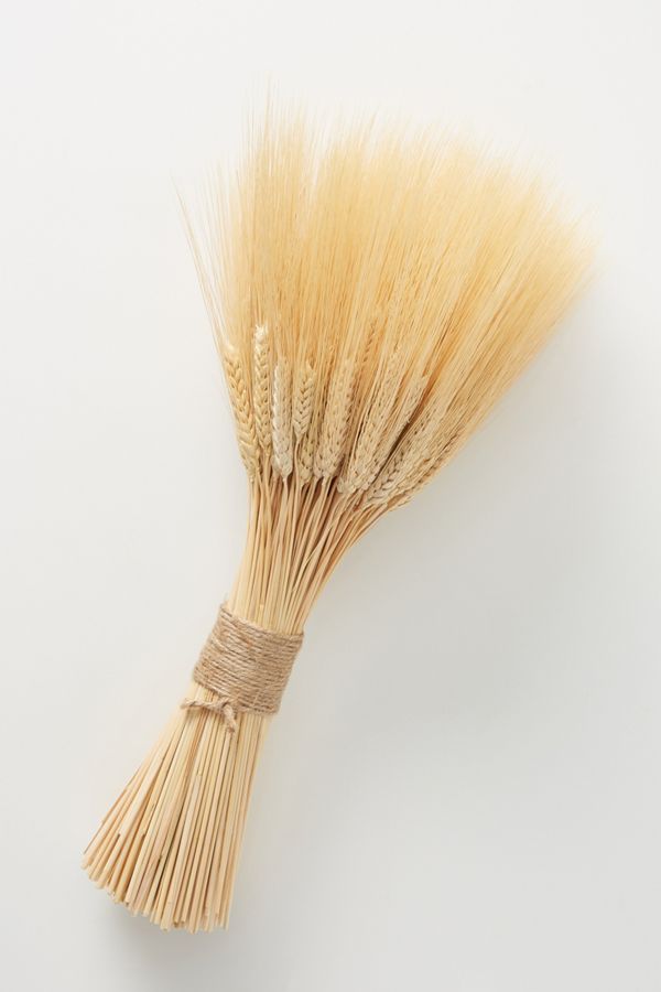 Dried Wheat Bundle | Anthropologie