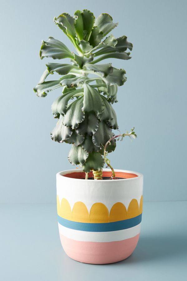 Arizona Pot | Anthropologie UK