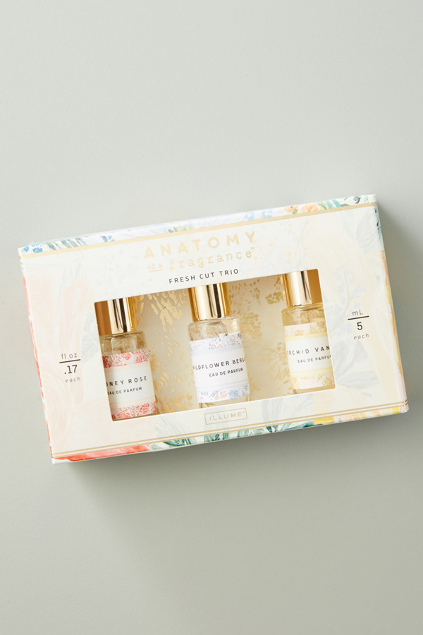 Anatomy of a Fragrance Rollerball Perfume Trio | Anthropologie