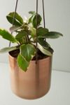 Copper Hanging Planter | Anthropologie