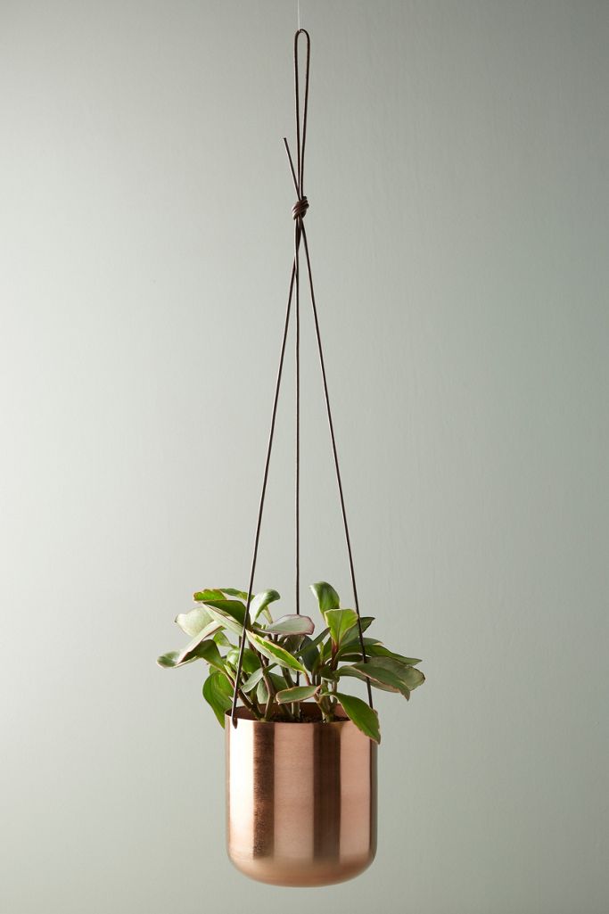 Copper Hanging Planter | Anthropologie