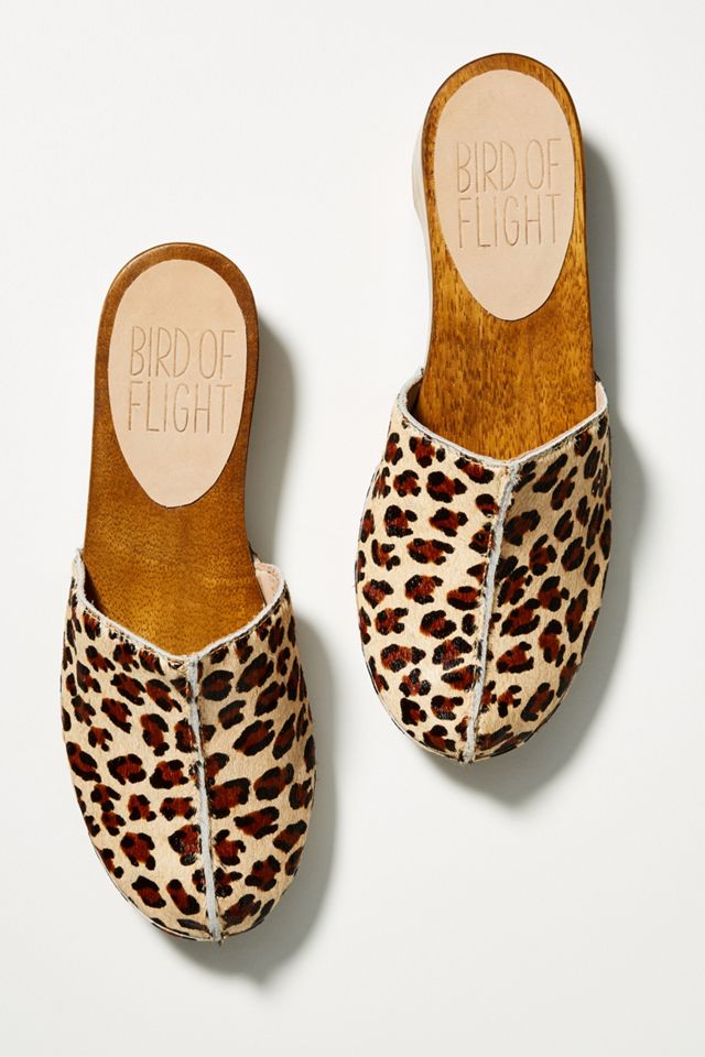 Bird of Flight Leopard Clogs | Anthropologie
