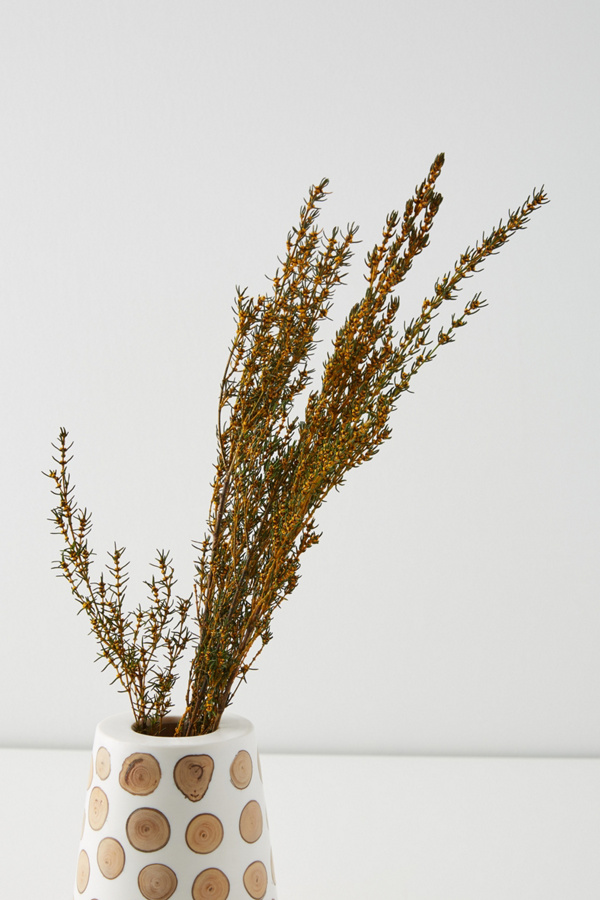 Dried Grabia Bouquet | Anthropologie