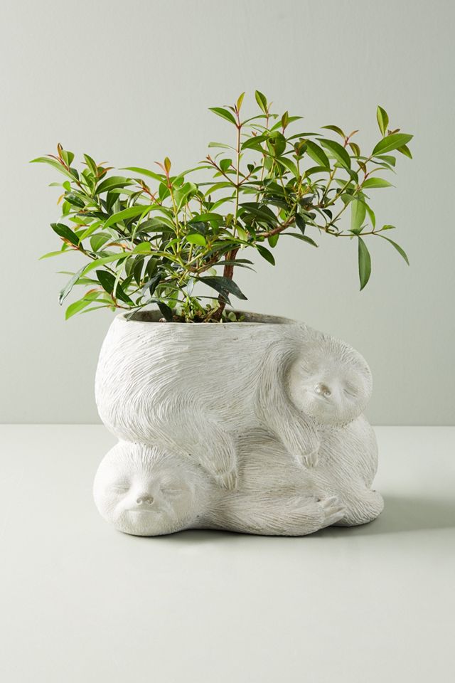 Sloth Garden Pot | Anthropologie