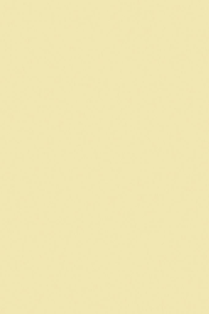 Pale Hound No.71 - 1 Gallon | Anthropologie