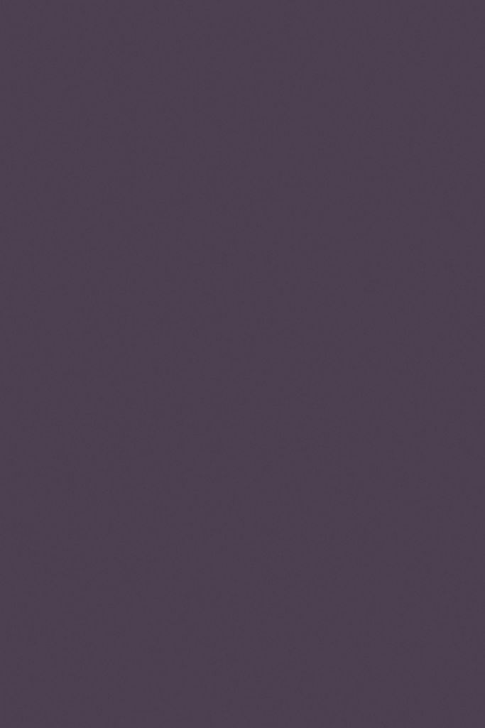 Pelt No.254 - 1 Gallon | Anthropologie