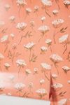 Juliet Meeks Queen's Lace Wallpaper | Anthropologie