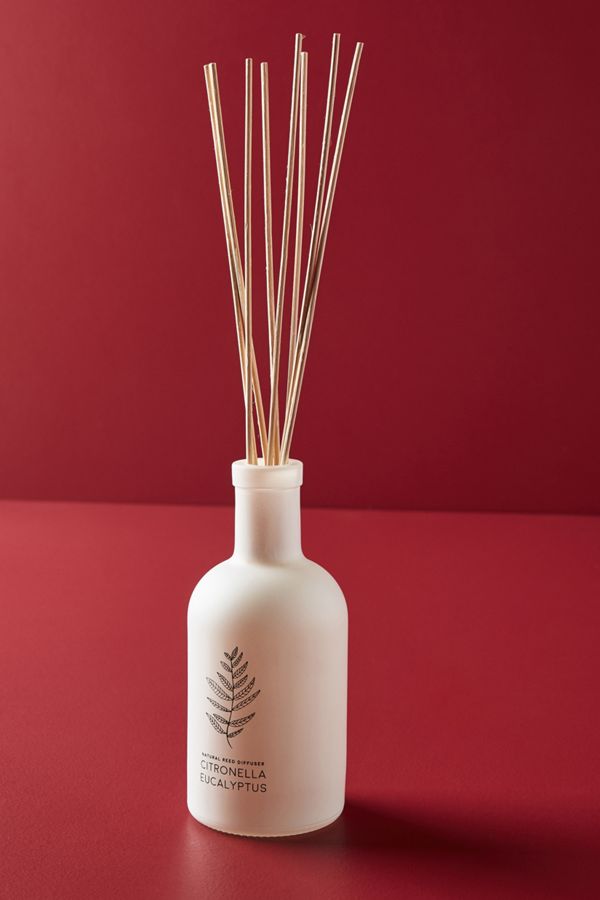 Cerabella Citronella Reed Diffuser | Anthropologie