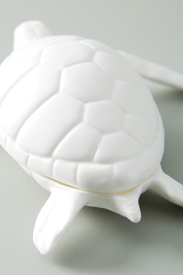 Turtle Decorative Object | Anthropologie