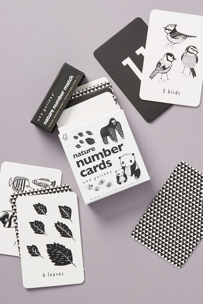 Nature Number Cards | Anthropologie