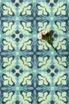 Grow House Grow Jardinage Cement Tile | Anthropologie