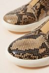 Matisse Love Chelsea Sneakers | Anthropologie