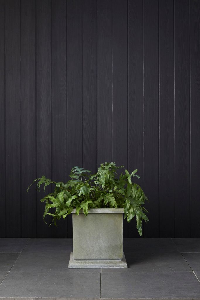 Low Footed Antiqued Steel Planter | Anthropologie