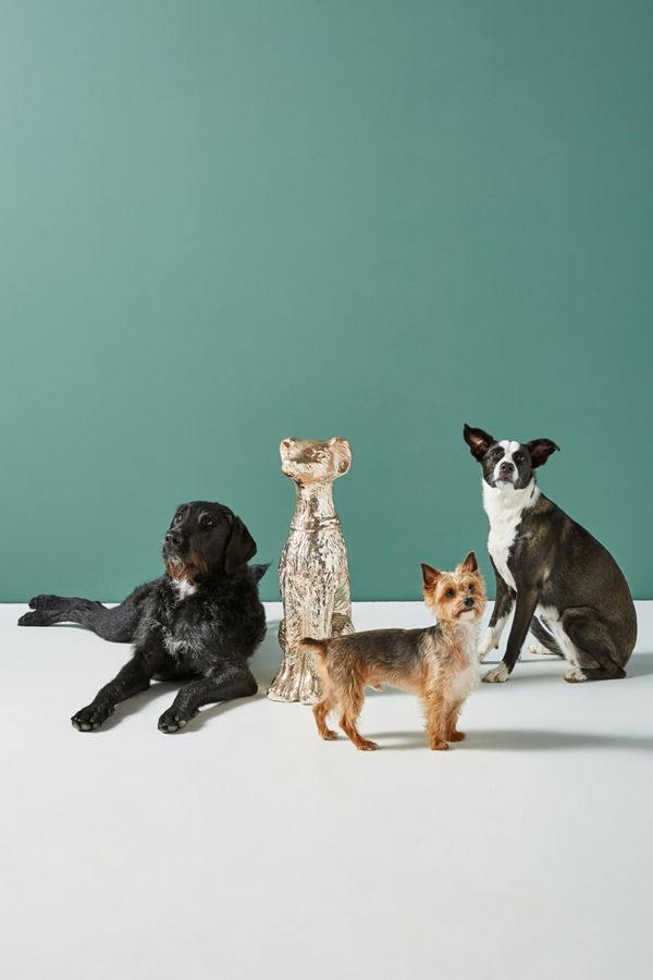Terracotta Dog Garden Statue | Anthropologie