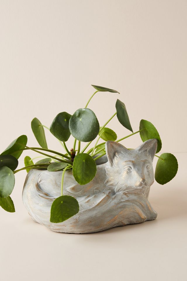 Fox Planter | Anthropologie