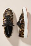 Superga Zebra Low-Top Sneakers | Anthropologie