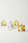 Botanical Reed Diffuser | Anthropologie