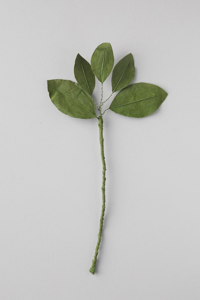 Canvas Magnolia Stem | Anthropologie