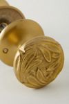 Cecily Door Knob | Anthropologie