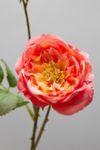 Faux Orange Rose Spray | Anthropologie