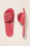 Beek Chicken Slide Sandals | Anthropologie