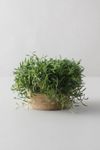 String of Pickles, Jute Pot | Anthropologie