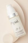 Pai Instant Calm Sea Aster & Wild Oat Redness Serum | Anthropologie