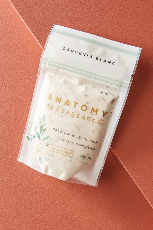 Anatomy of a Fragrance Bath Soak | Anthropologie