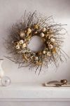 Wyeth Spring Wreath | Anthropologie