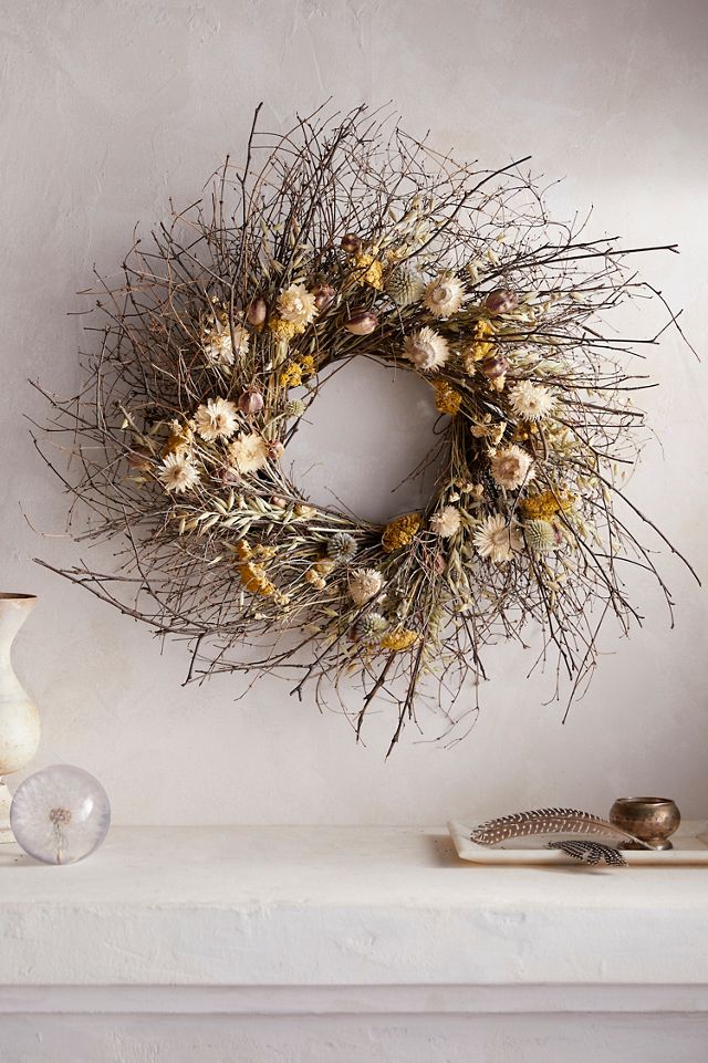 Wyeth Spring Wreath | Anthropologie
