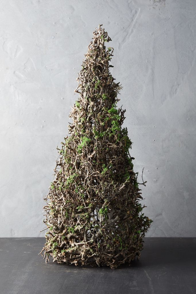 Preserved Mossy Cone | Anthropologie
