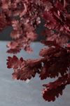 Preserved Mini Oak Leaf Bunch | Anthropologie
