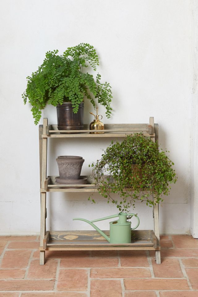 Spruce 3-Shelf Plant Stand | Anthropologie