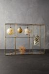 Brass Wall-Mounted Collection Display Box | Anthropologie