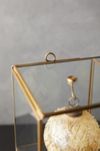 Brass Wall-Mounted Collection Display Box | Anthropologie