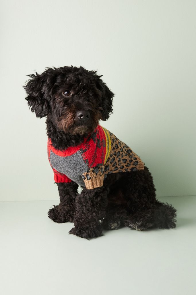Leopard & Plaid Dog Sweater | Anthropologie