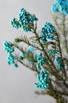 Preserved Rice Flower Bunch, Blue | Anthropologie