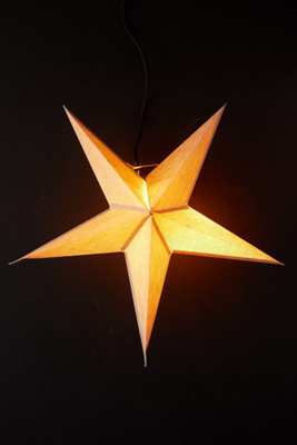 5 Point Star Pendant Light | Anthropologie